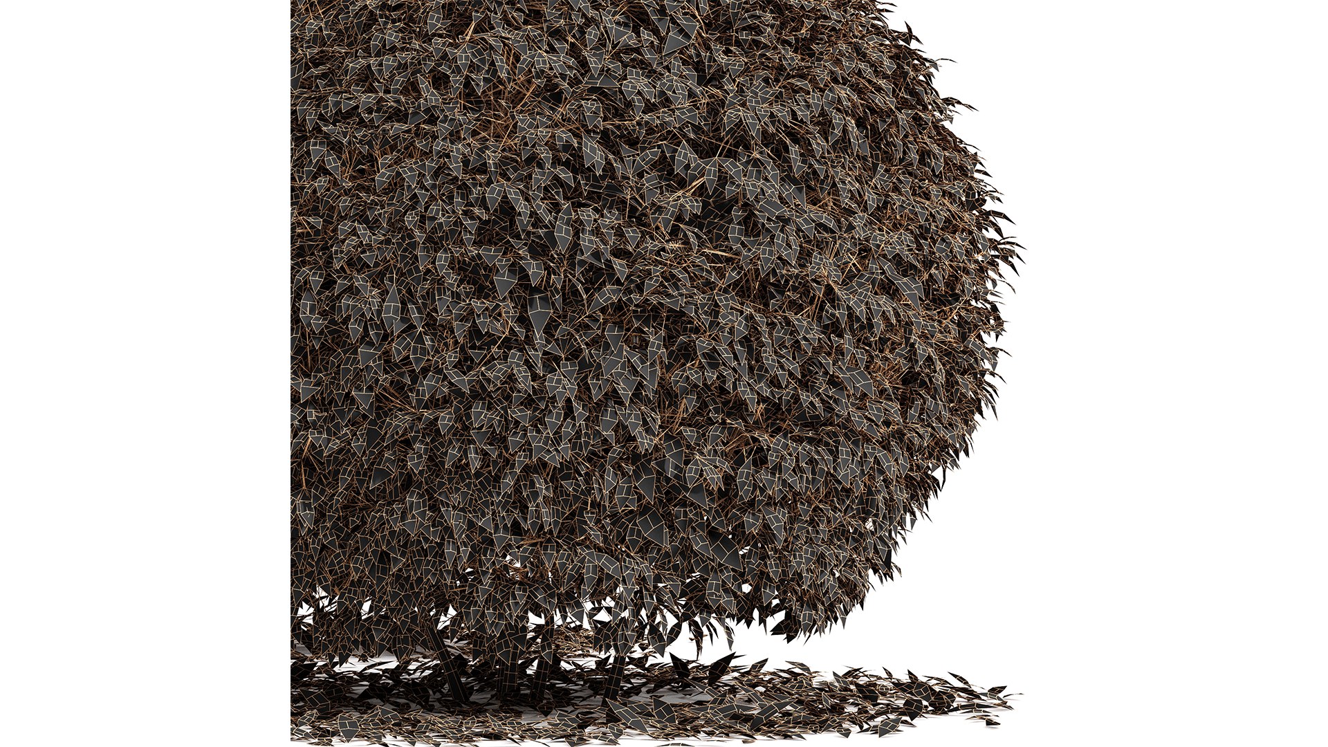 Dwarf Yaupon Holly Fall 3D Model - TurboSquid 2244553