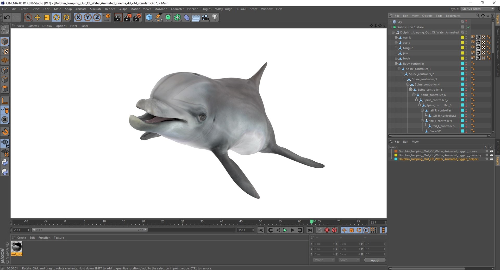 Dolphin Jumping Out Of Water Animated For Cinema 4D 3D Model ...