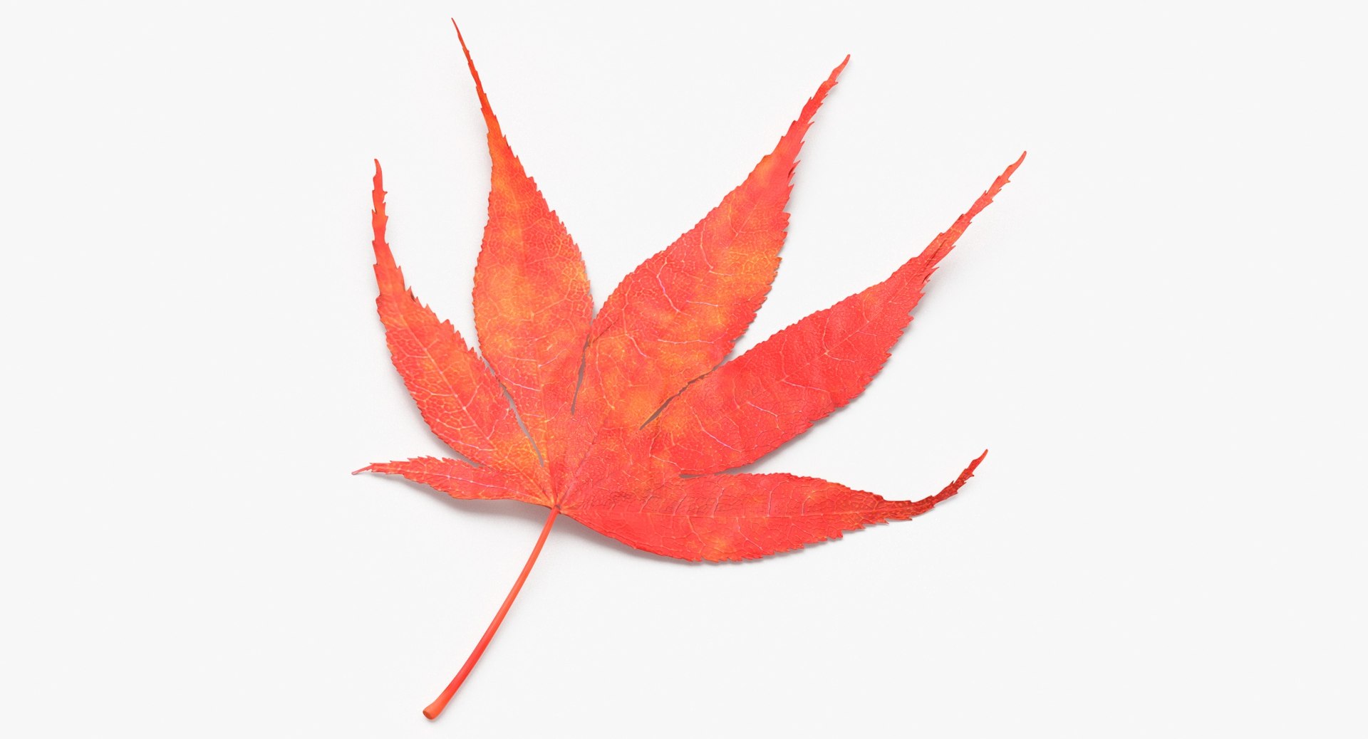 3D Prop Autumn Leaves Type 08 model - TurboSquid 2151107