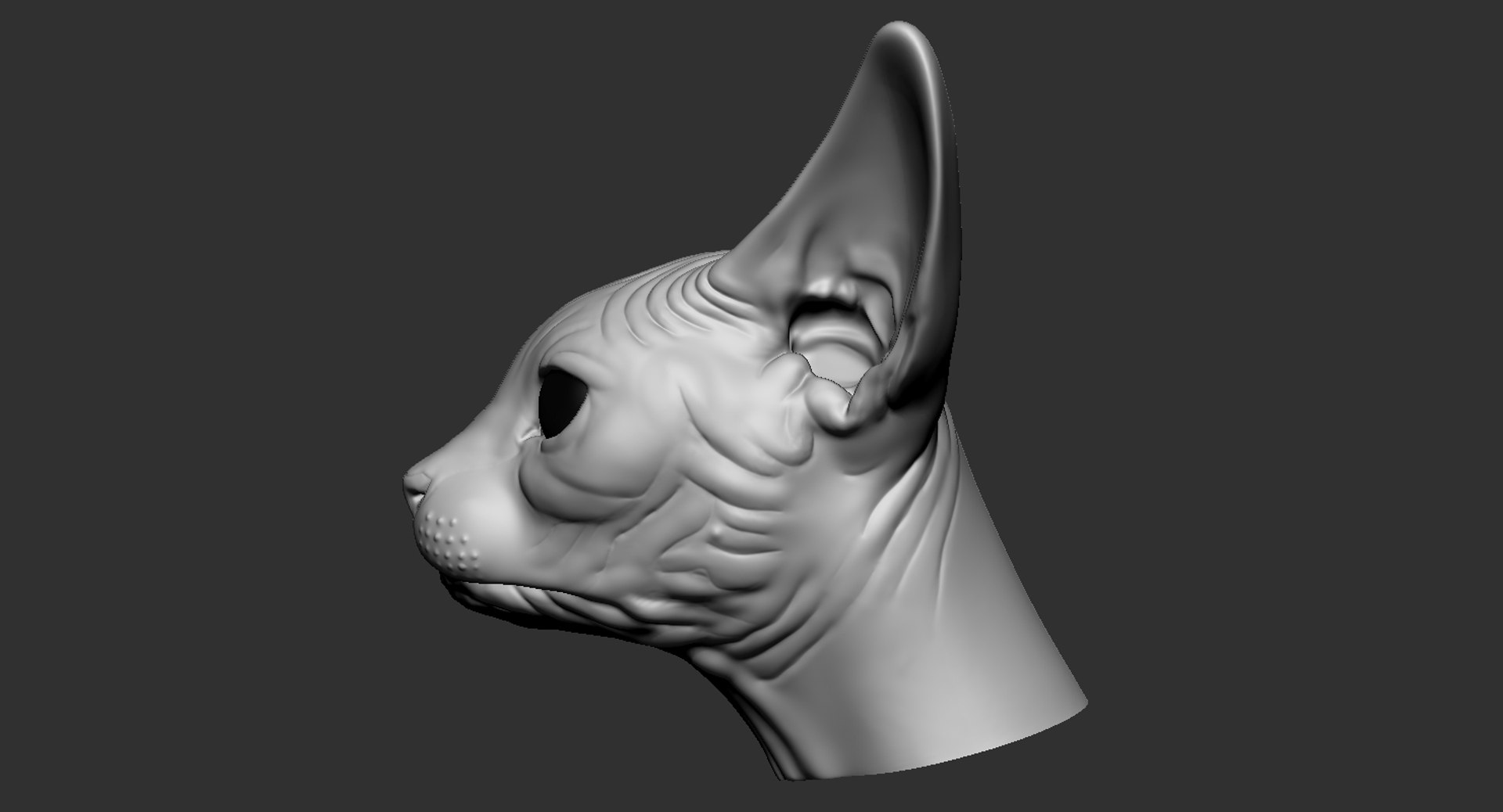 3D Sphynx Cat Head 2019 Model - TurboSquid 1427382
