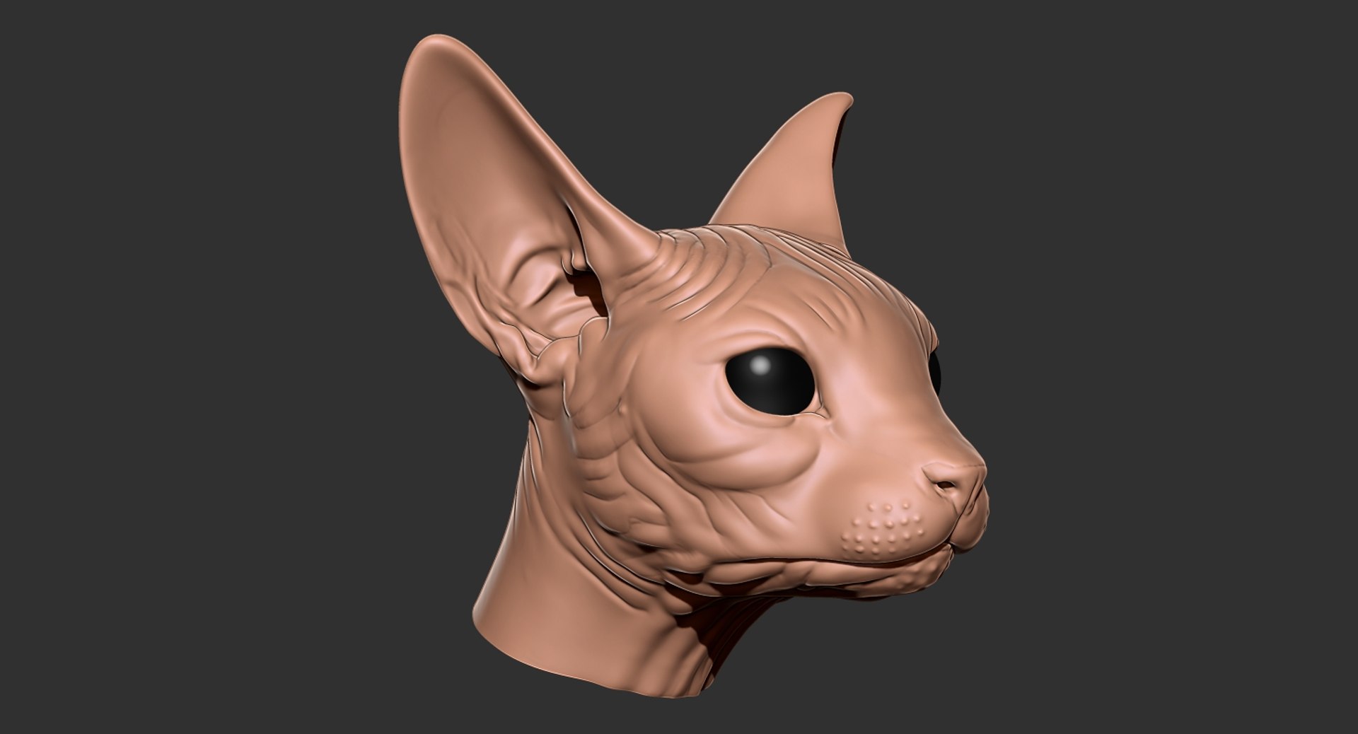 3D Sphynx Cat Head 2019 Model - TurboSquid 1427382