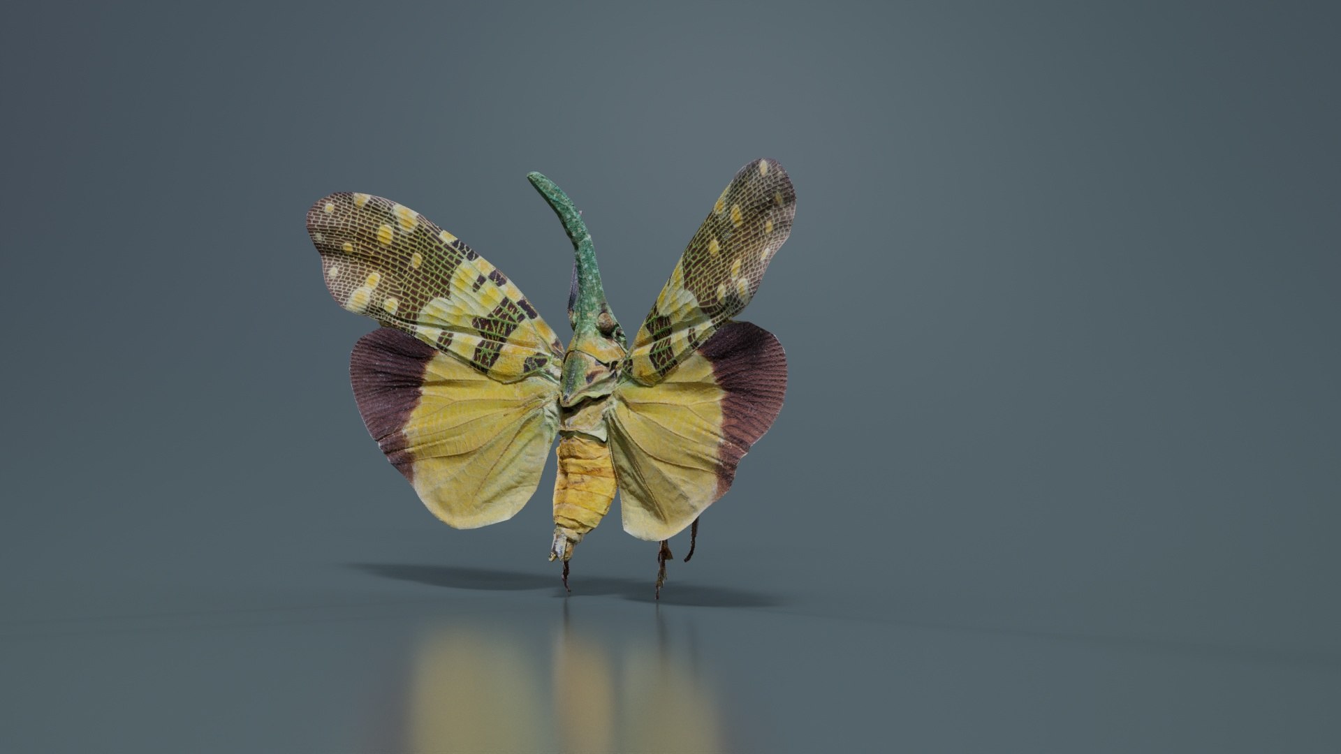 3D Pyrops Spinolae Cambodia Remastered Model - TurboSquid 2359779