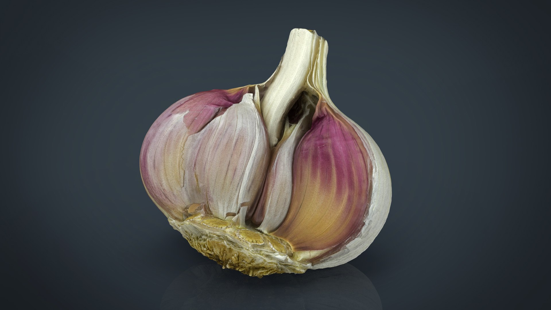 Photorealistic Open Garlic 3d Model