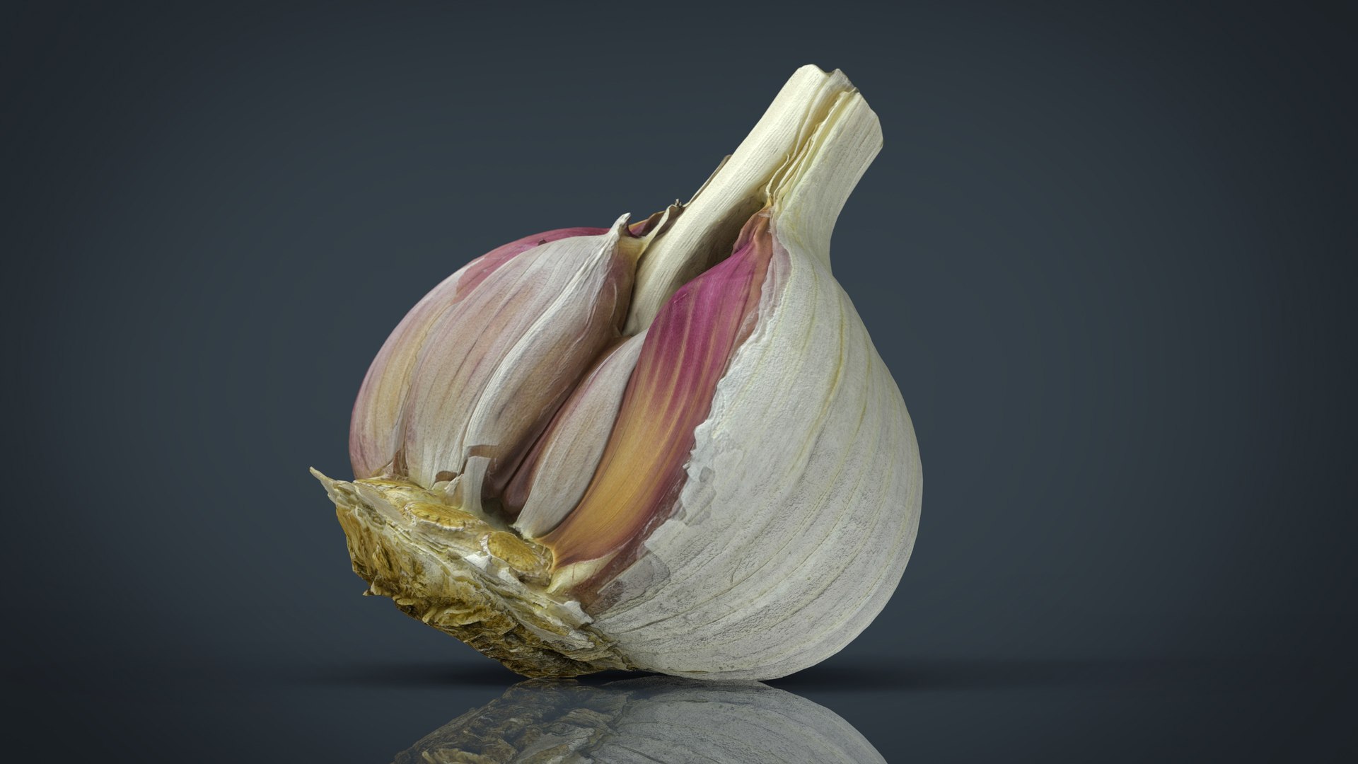 Photorealistic Open Garlic 3d Model