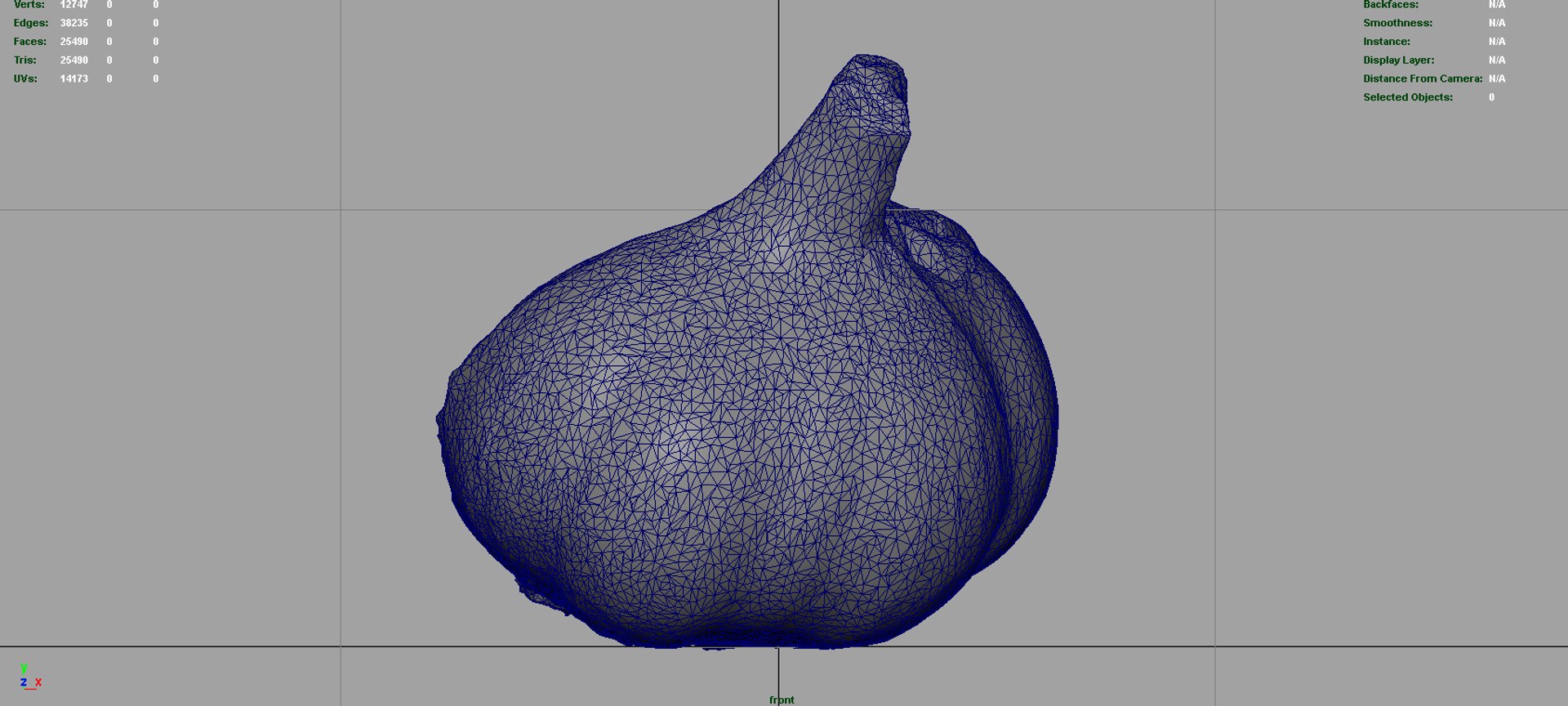 Photorealistic Open Garlic 3d Model