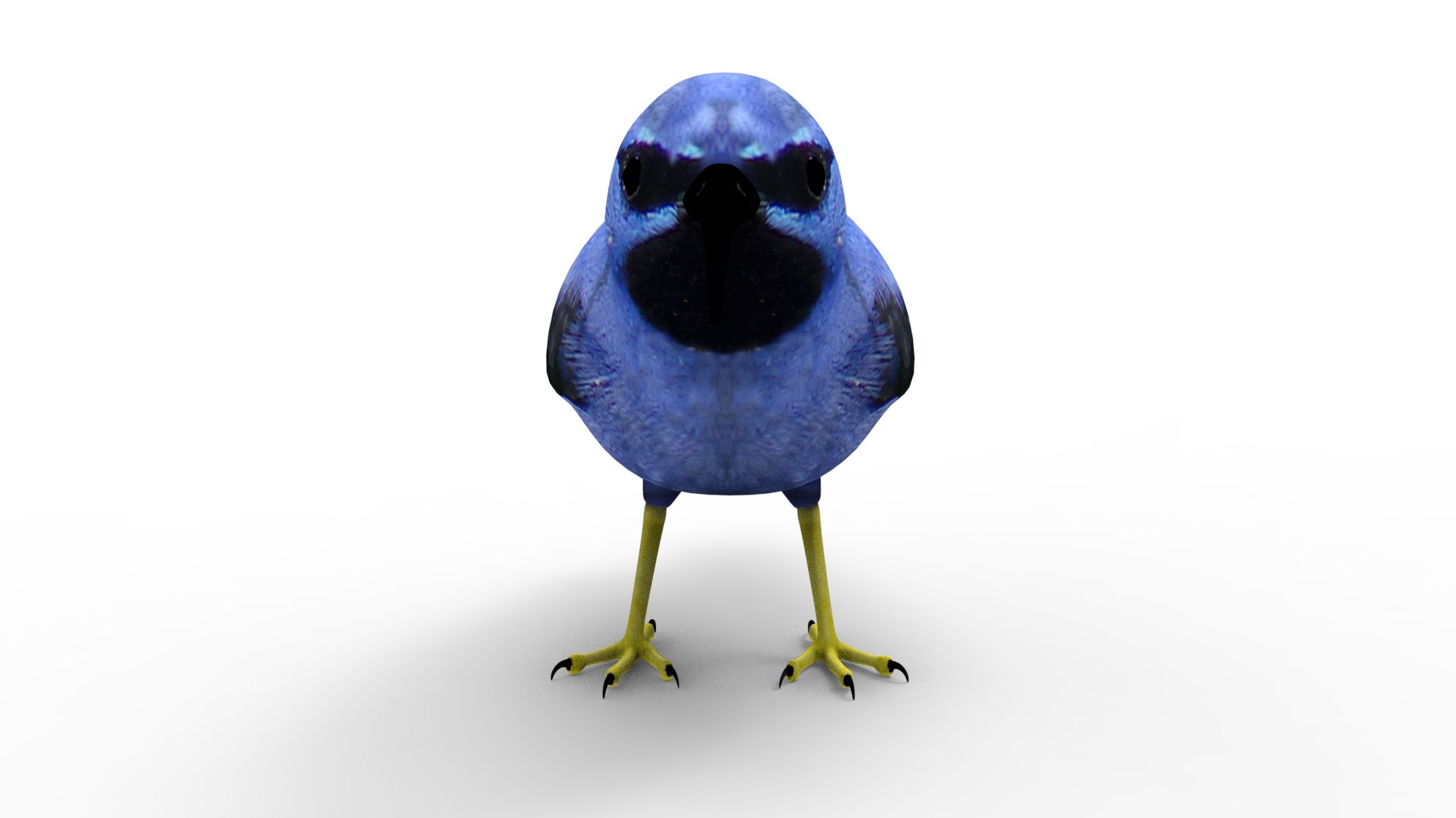 3D model Humming Bird - TurboSquid 2112461