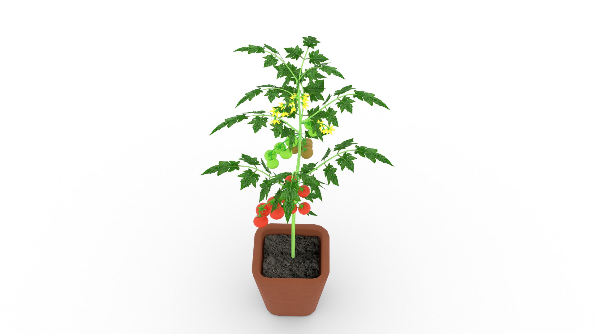 3D Tomato Plant - TurboSquid 2064886