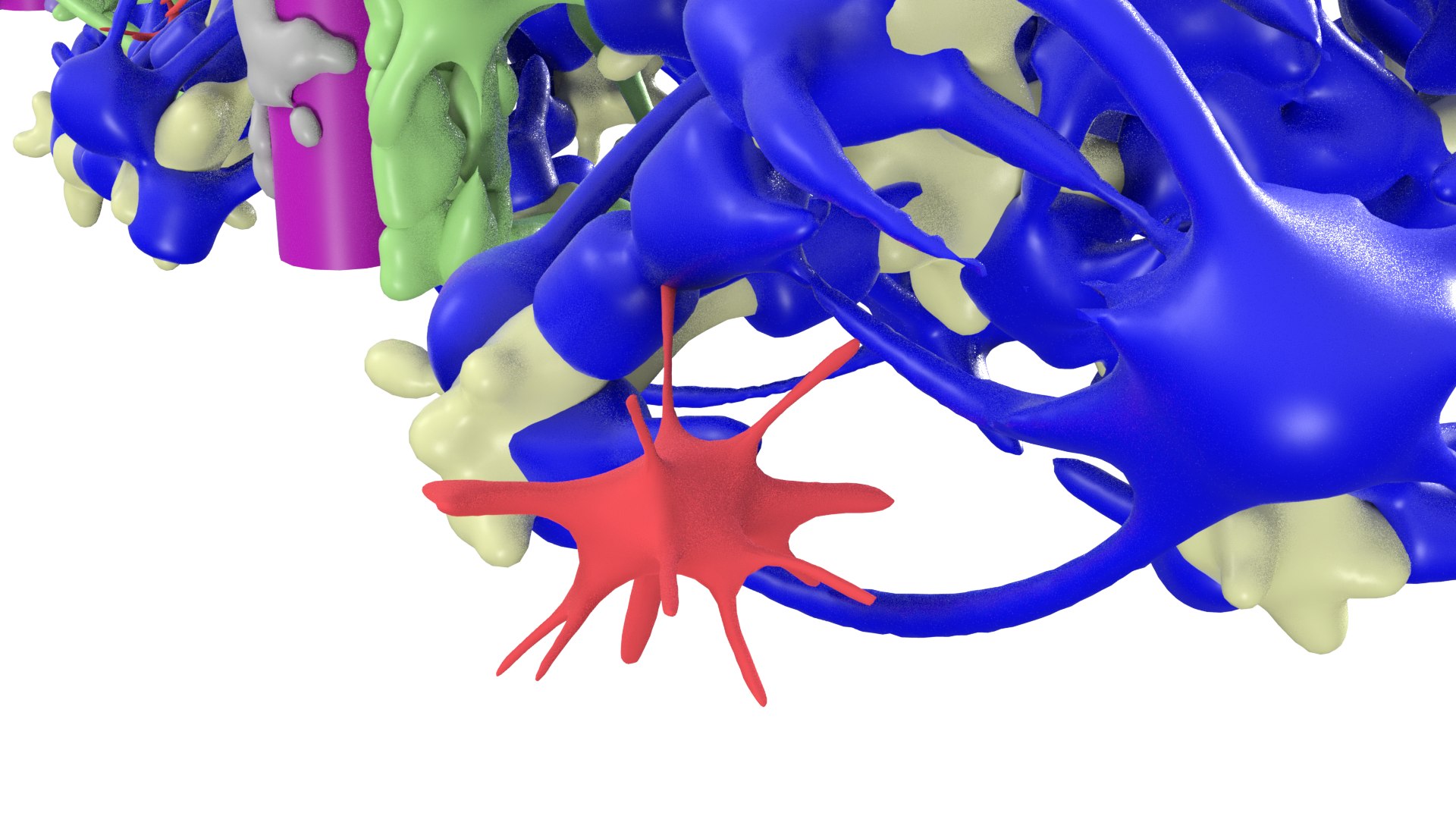 3D Brain Neuron Structure With Blood Vessels Model - TurboSquid 1915688