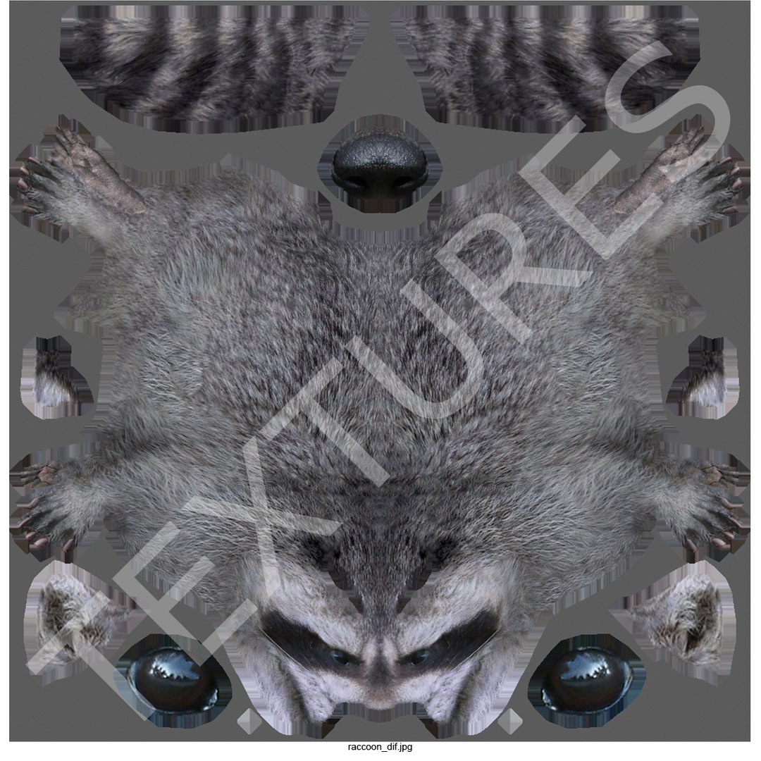 Raccoon Animal Modelled 3d Model