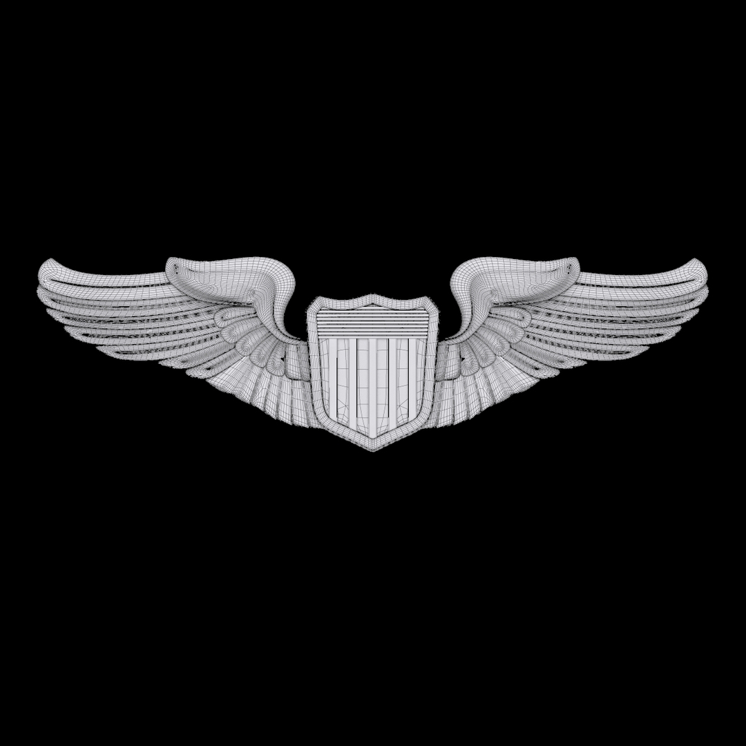 3d model air force pilot badge