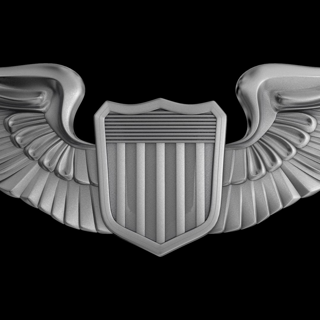 3d model air force pilot badge