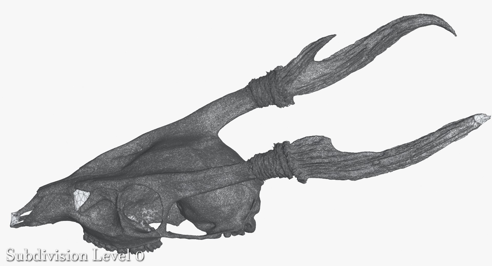 Max Deer Skull Raw Scan