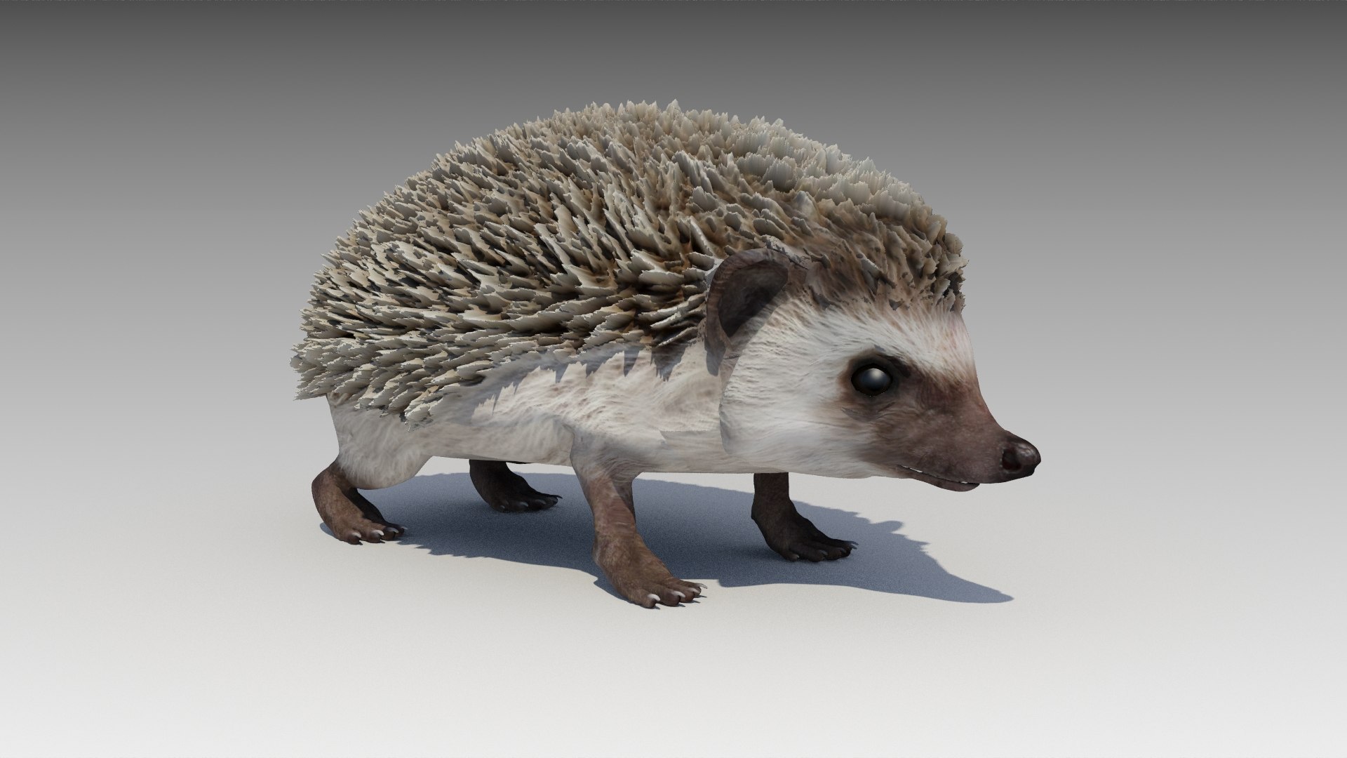 3D Hedgehog Animations - TurboSquid 1585514