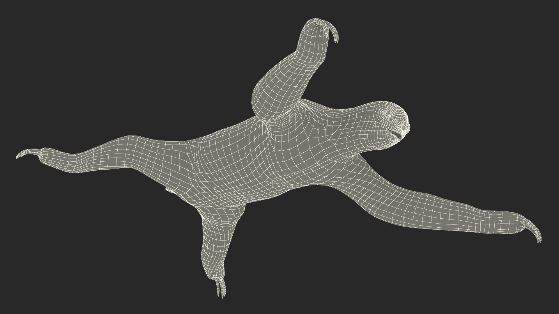 3D Model Sloth Fur - TurboSquid 2177597