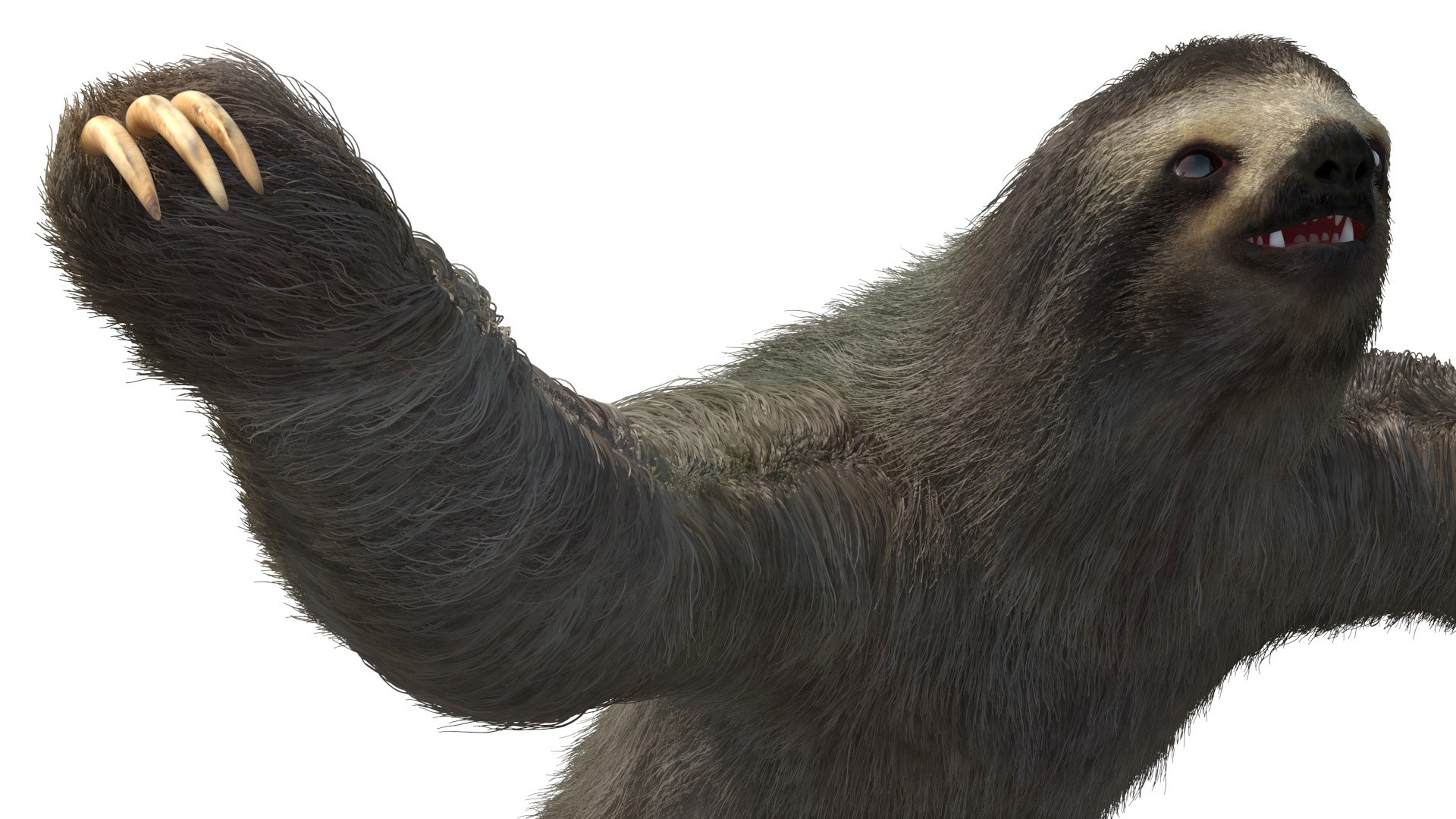 3D Model Sloth Fur - TurboSquid 2177597