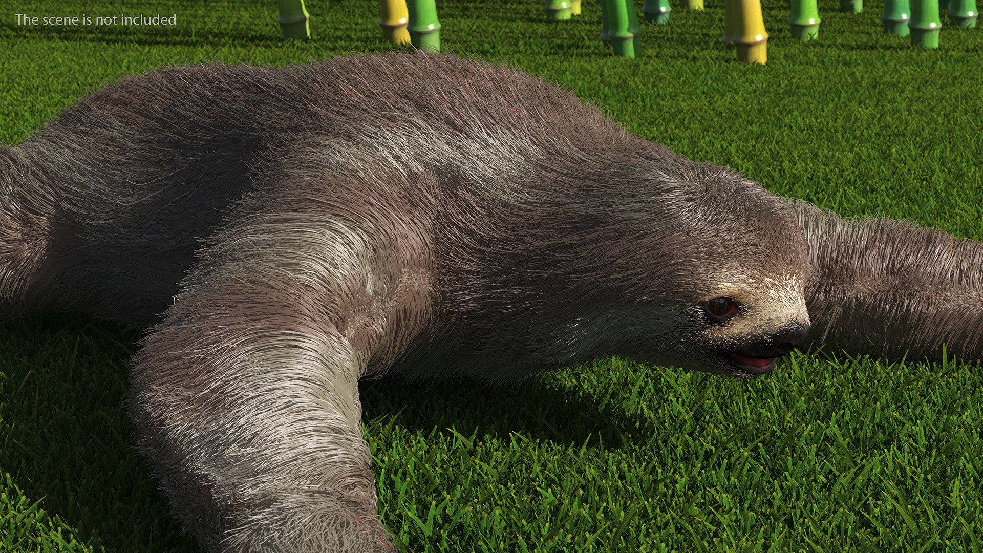 3D Model Sloth Fur - TurboSquid 2177597