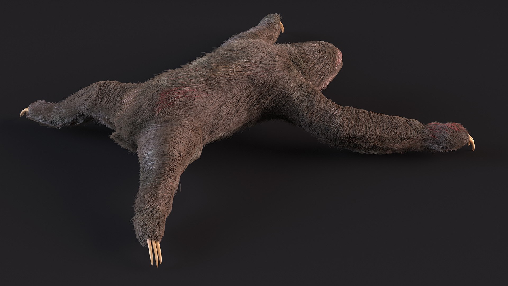 3D Model Sloth Fur - TurboSquid 2177597