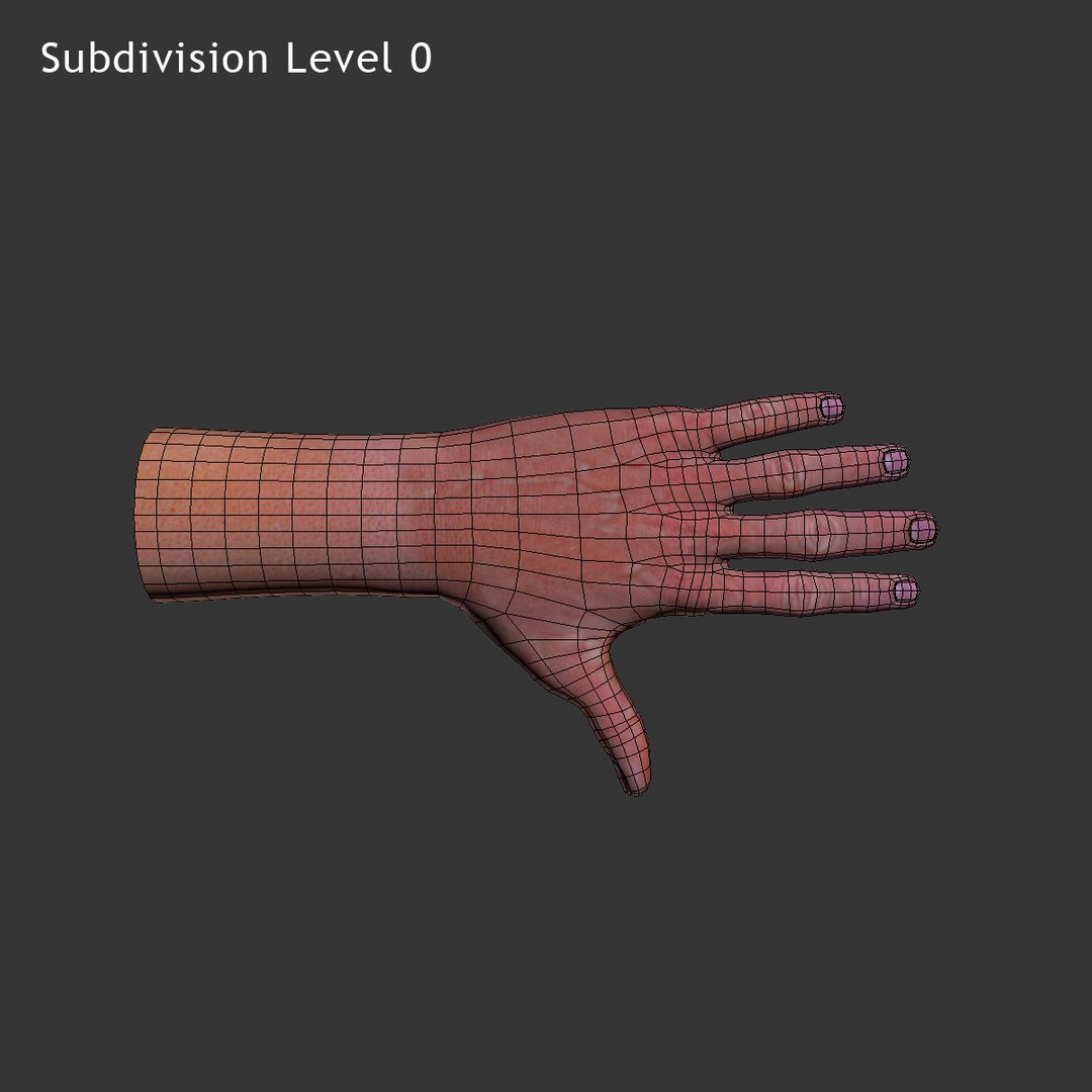 3dsmax Hand Anatomy