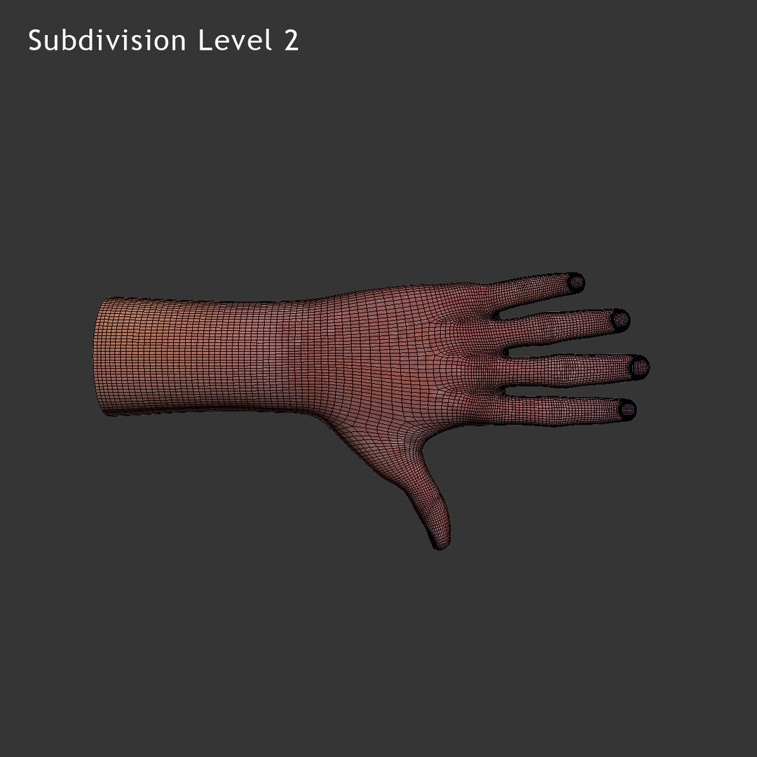 3dsmax Hand Anatomy