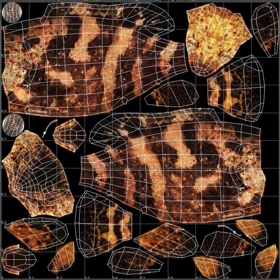 Goliath Grouper Fish 3D Model - TurboSquid 2195206