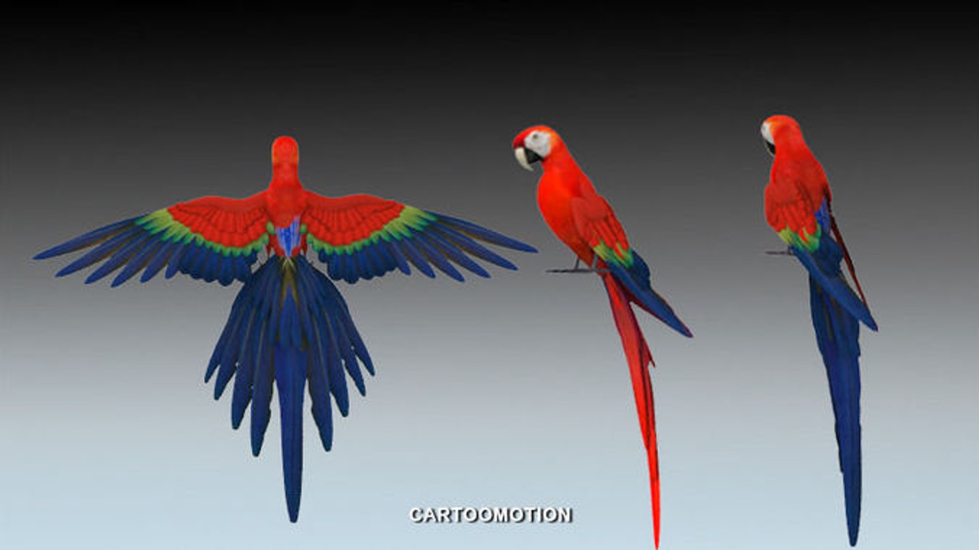 Birds Pack 3d Max