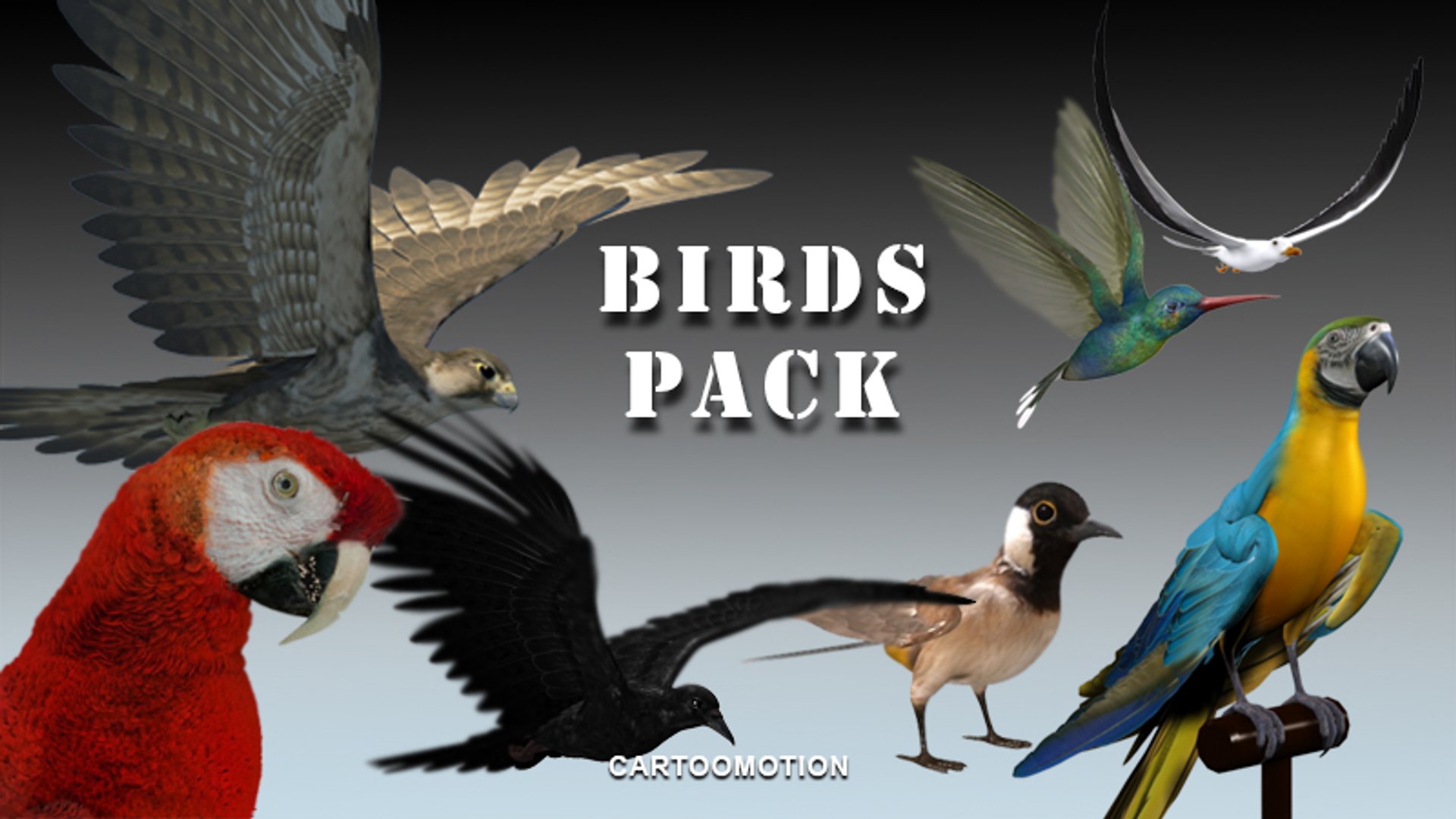 Birds Pack 3d Max