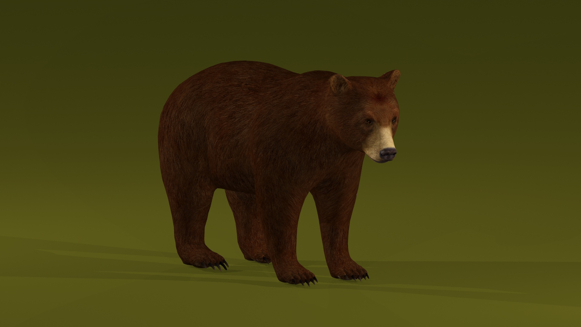 Base Mesh Bear 3d Max