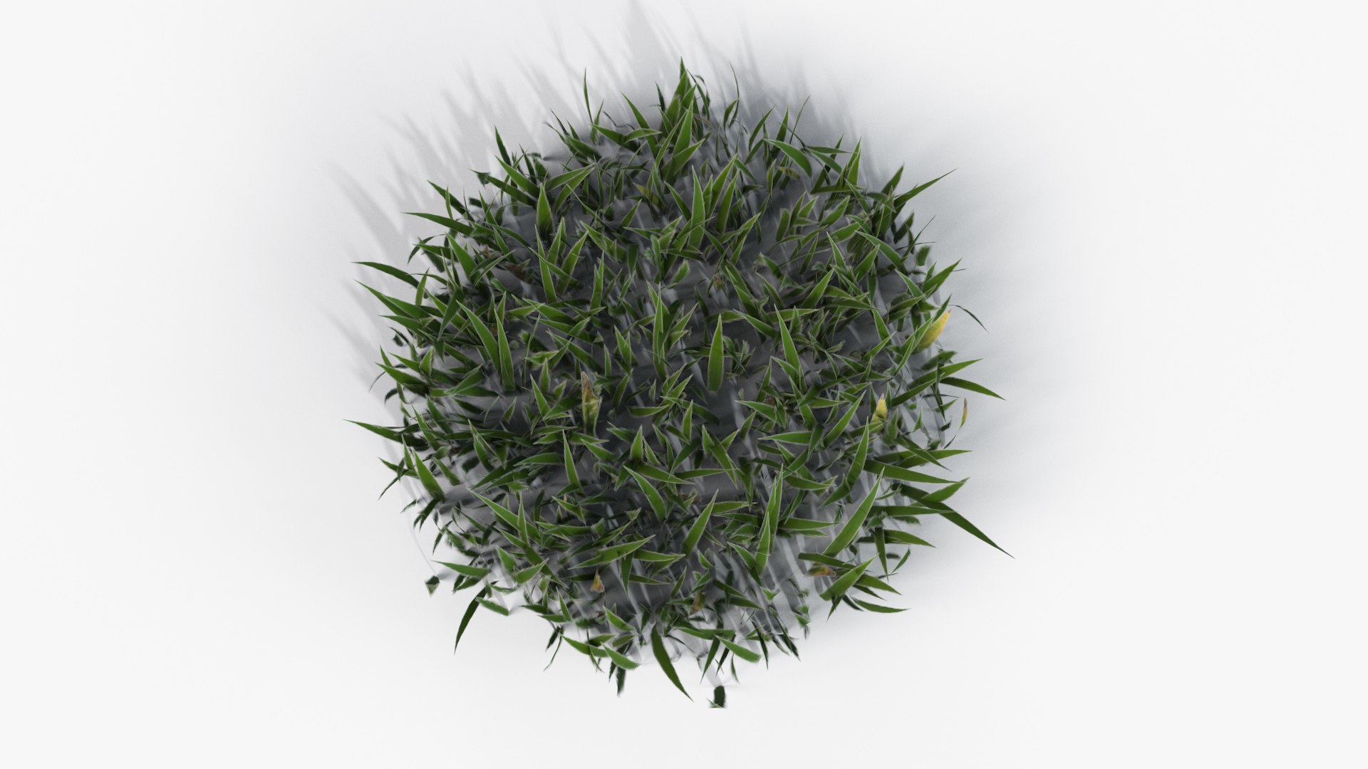3D Grass Cluster - Model - TurboSquid 1510481