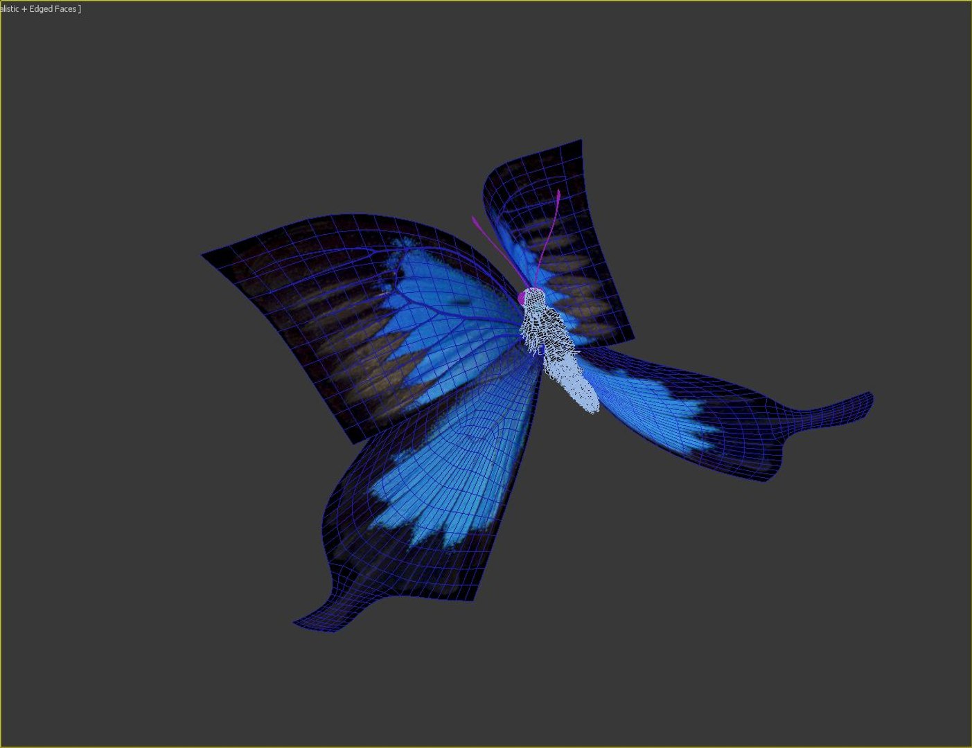 Max Flying Butterfly