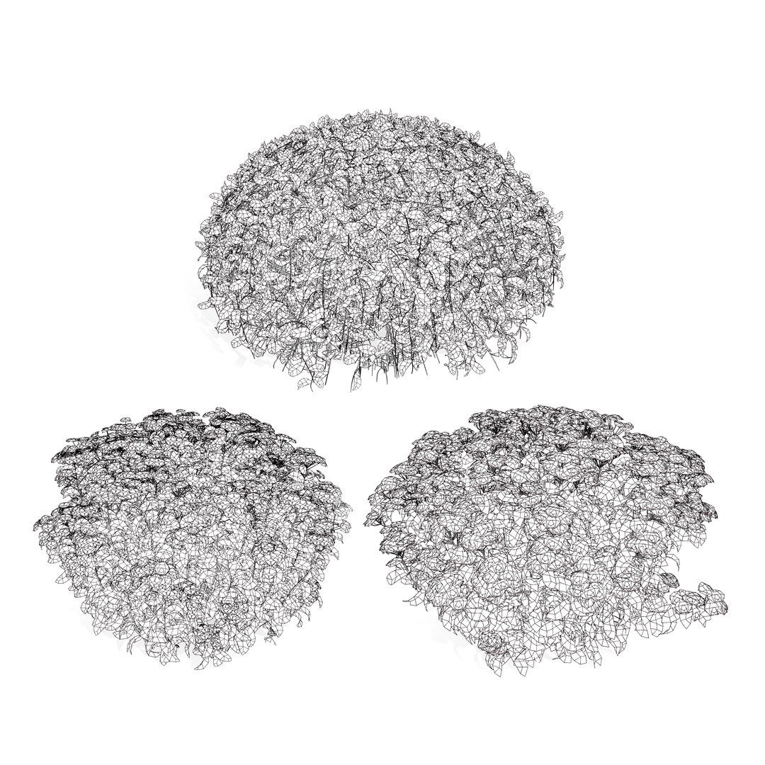 3D Spring Gold Spirea Model - TurboSquid 2187506