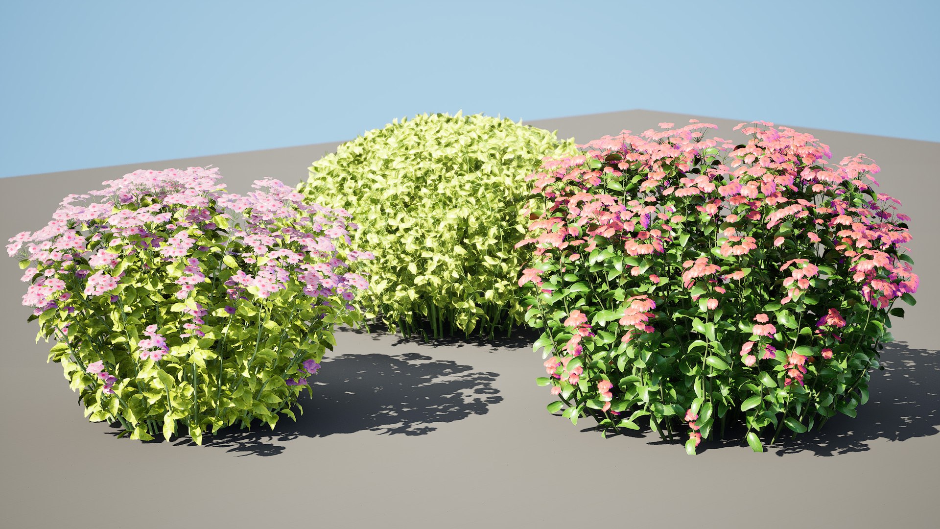 3D Spring Gold Spirea Model - TurboSquid 2187506