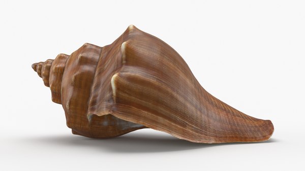 Volegalea Cochlidium 3D model - TurboSquid 1780370