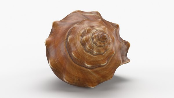 Volegalea Cochlidium 3D model - TurboSquid 1780370