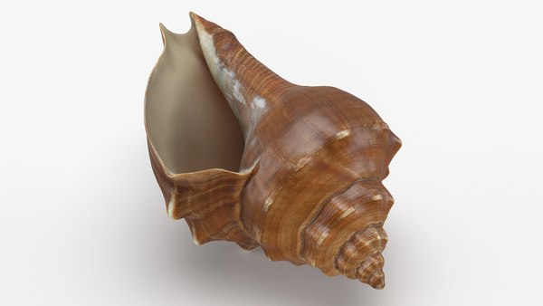Volegalea Cochlidium 3D model - TurboSquid 1780370
