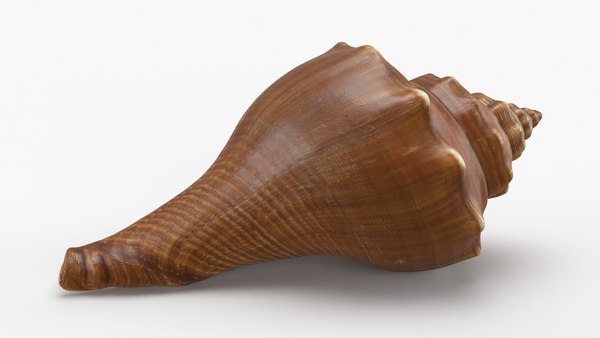 Volegalea Cochlidium 3D model - TurboSquid 1780370