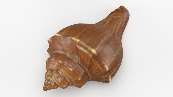 Volegalea Cochlidium 3D model - TurboSquid 1780370