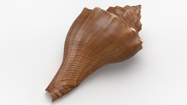 Volegalea Cochlidium 3D model - TurboSquid 1780370