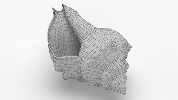 Volegalea Cochlidium 3D model - TurboSquid 1780370