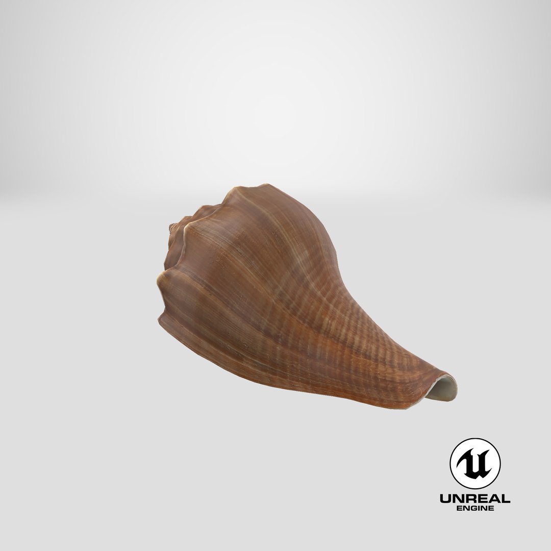 Volegalea Cochlidium 3D Model - TurboSquid 1780370