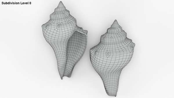 Volegalea Cochlidium 3D model - TurboSquid 1780370