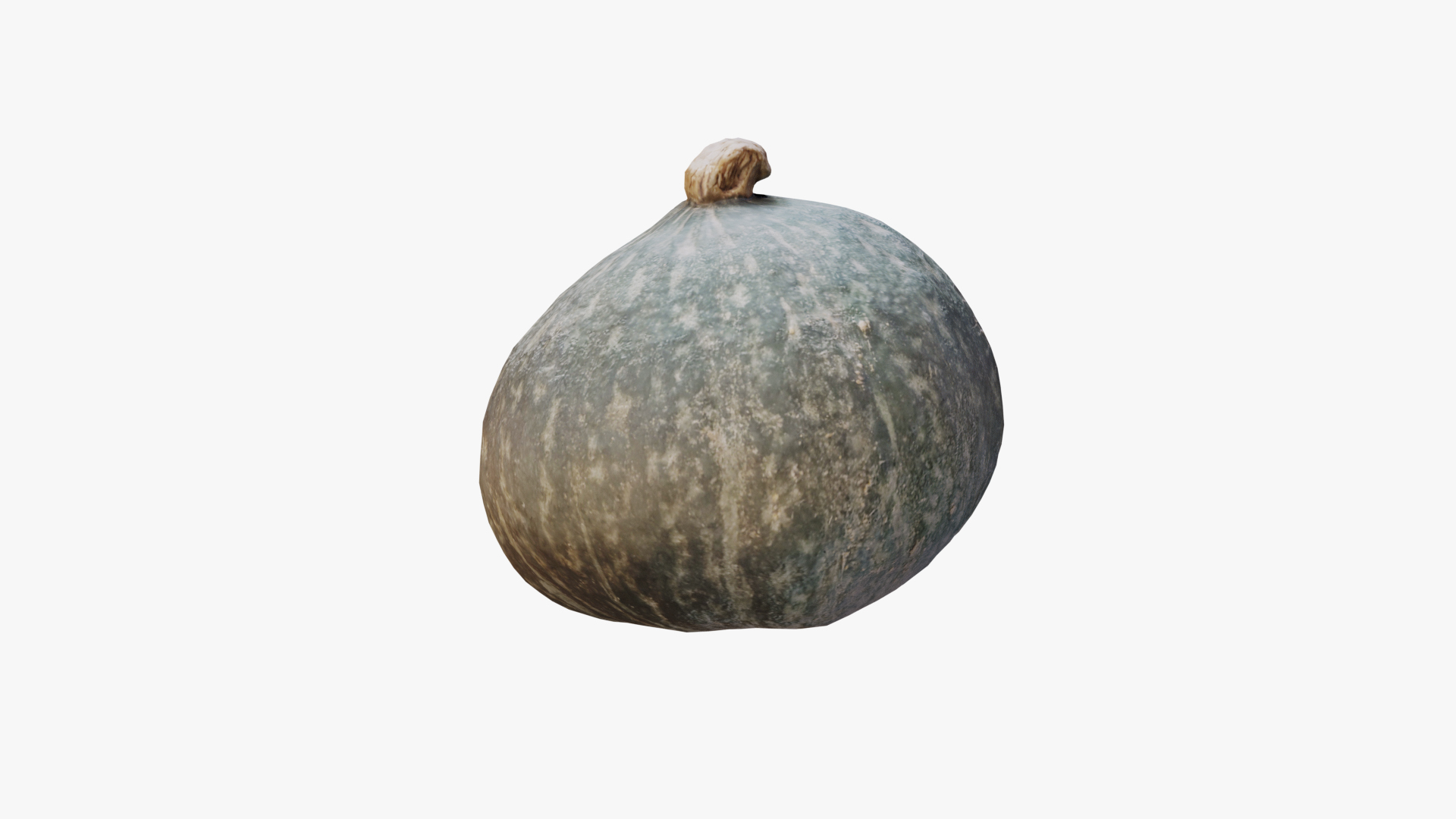 Free 3D Pumpkin Scan model - TurboSquid 2138540