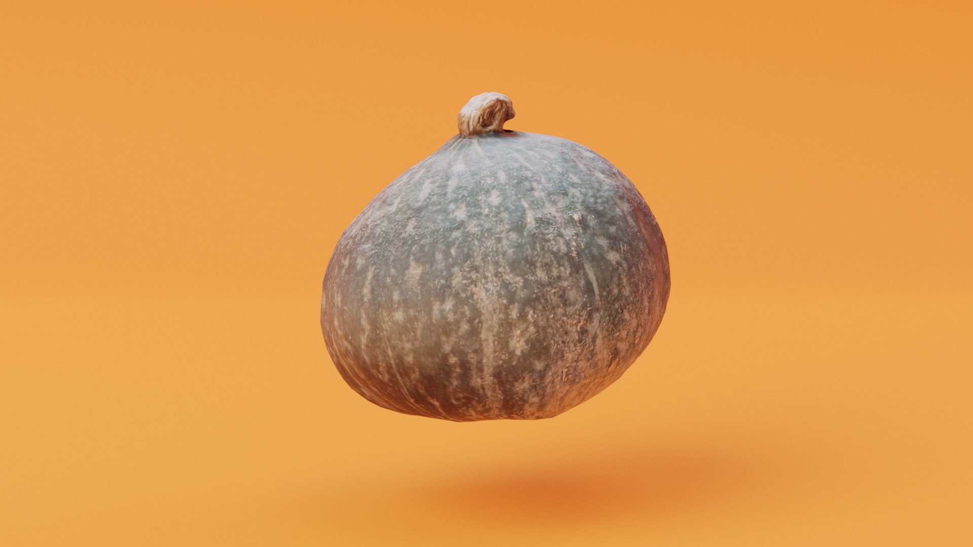 Free 3D Pumpkin Scan model - TurboSquid 2138540