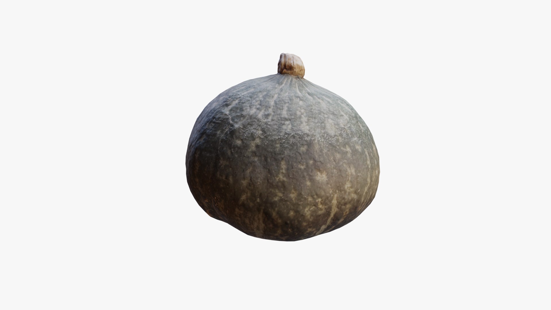 Free 3D Pumpkin Scan model - TurboSquid 2138540