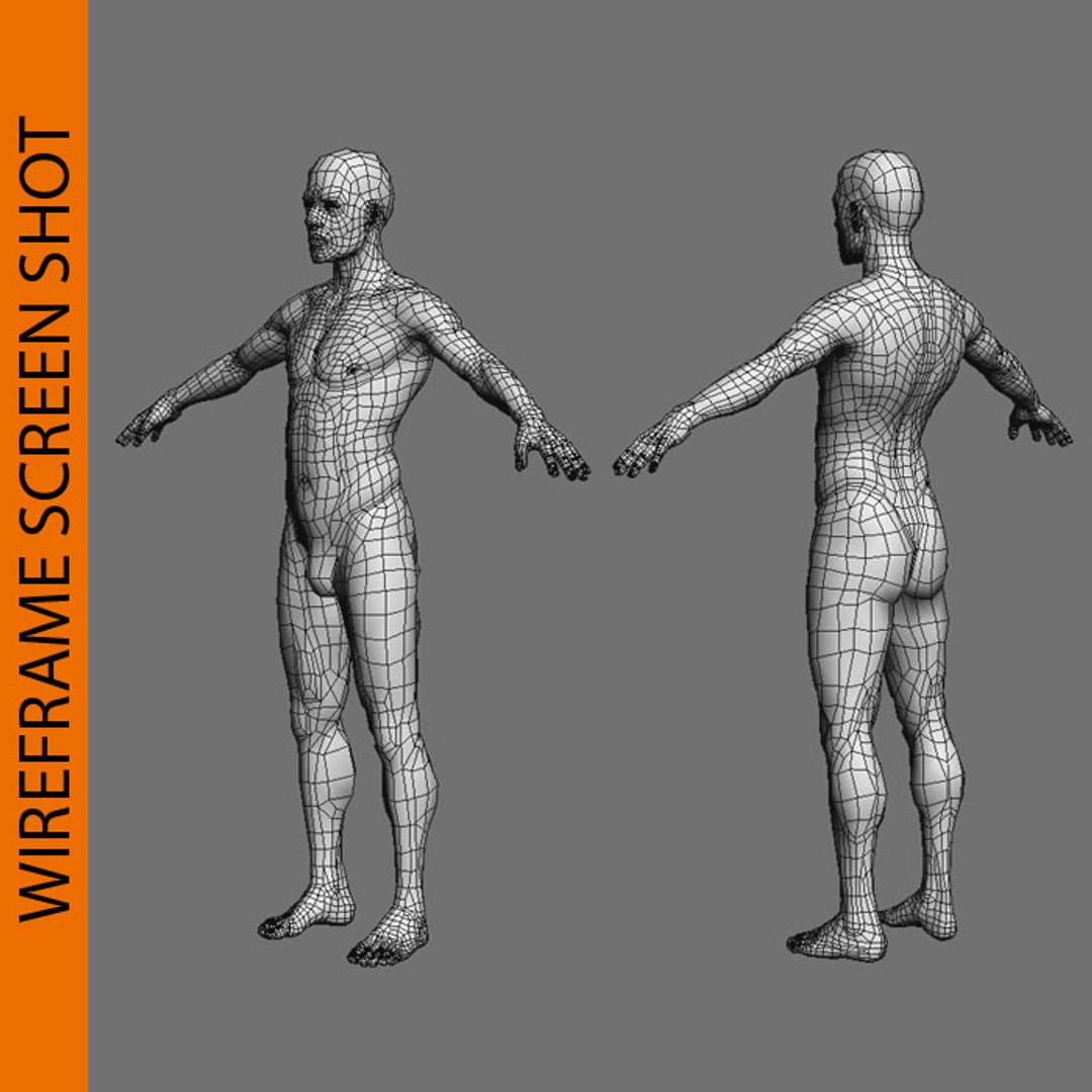 Human Male 3d Model