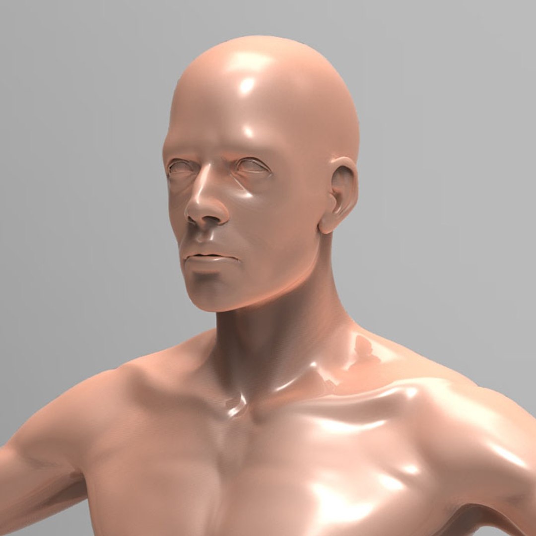 Human Male 3d Model