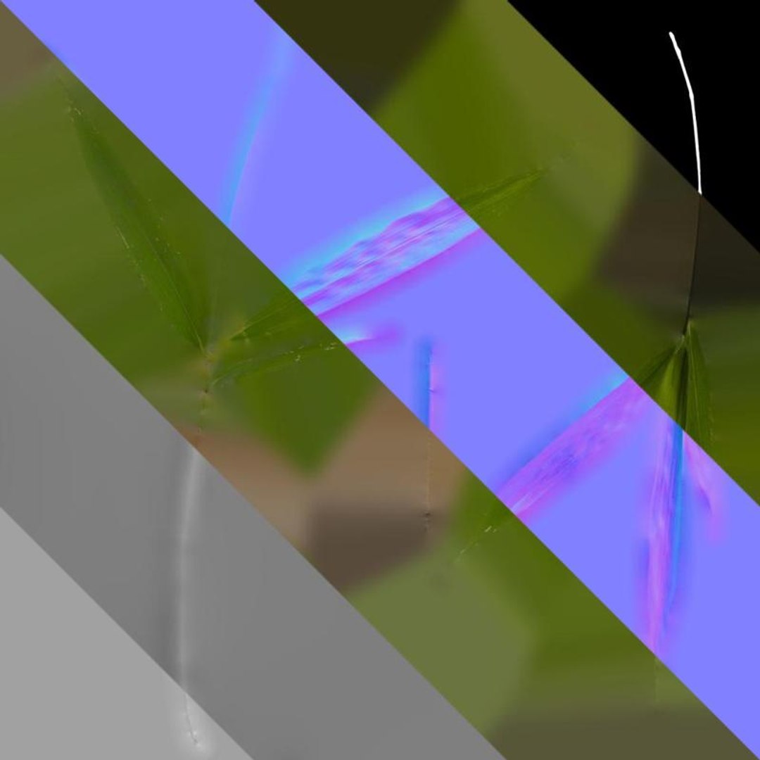 Anydrafts Bambusa Multiplex Atlas 01 Textures 3D Model - TurboSquid 2345332