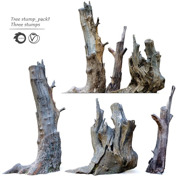 Tree stump pack 01 3D model - TurboSquid 1947822