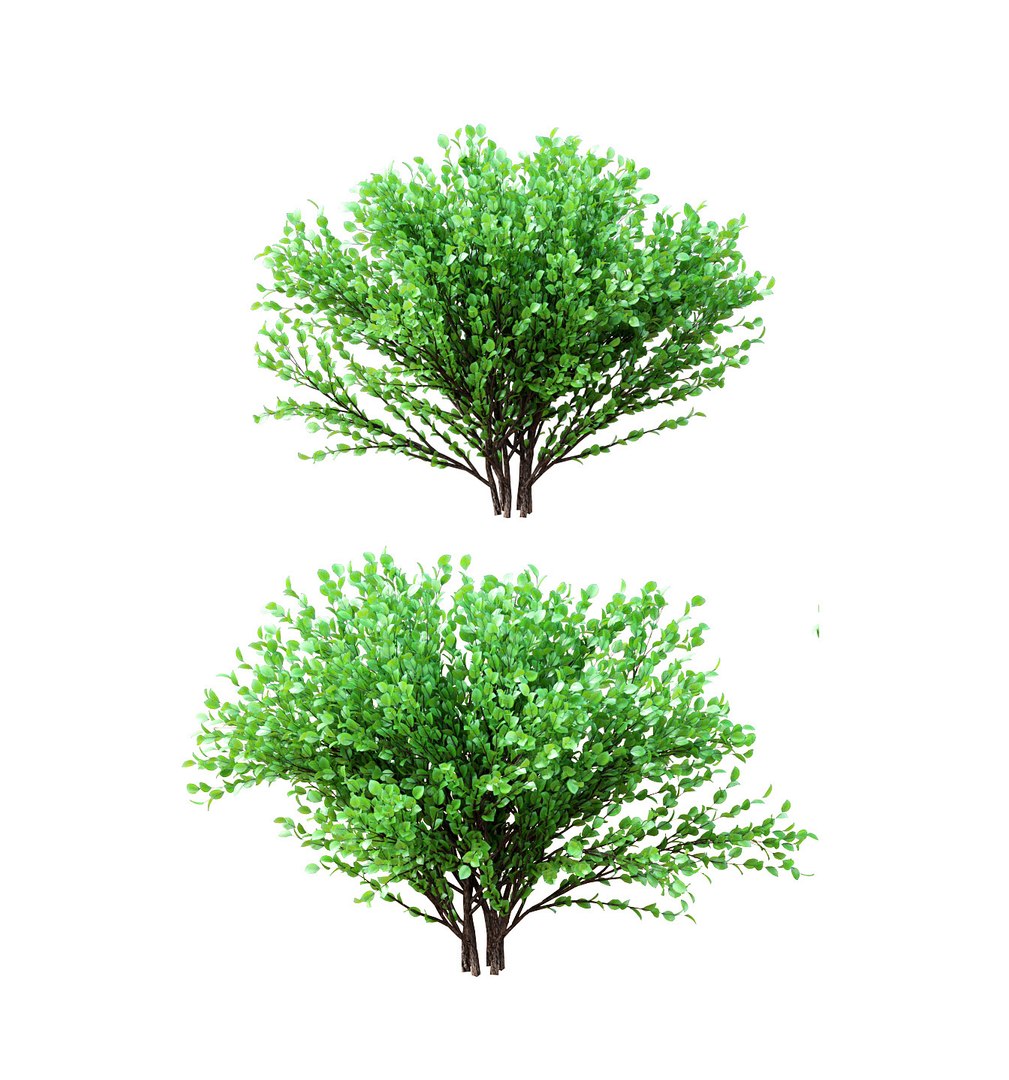3d Model Set Deciduous Shrubs 10