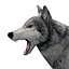 wolf rigged animation x