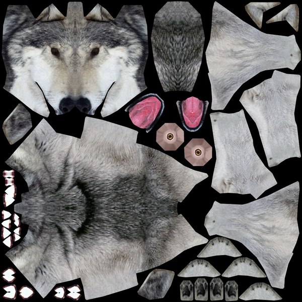 wolf rigged animation x